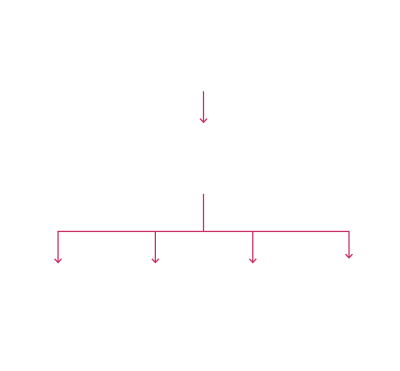 SECANDA | Druckmanagement